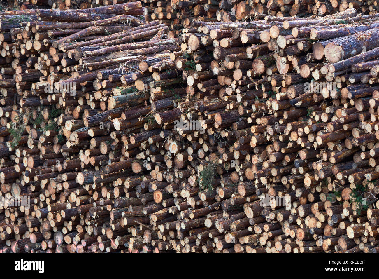 Logs frame hi-res stock photography and images - Alamy