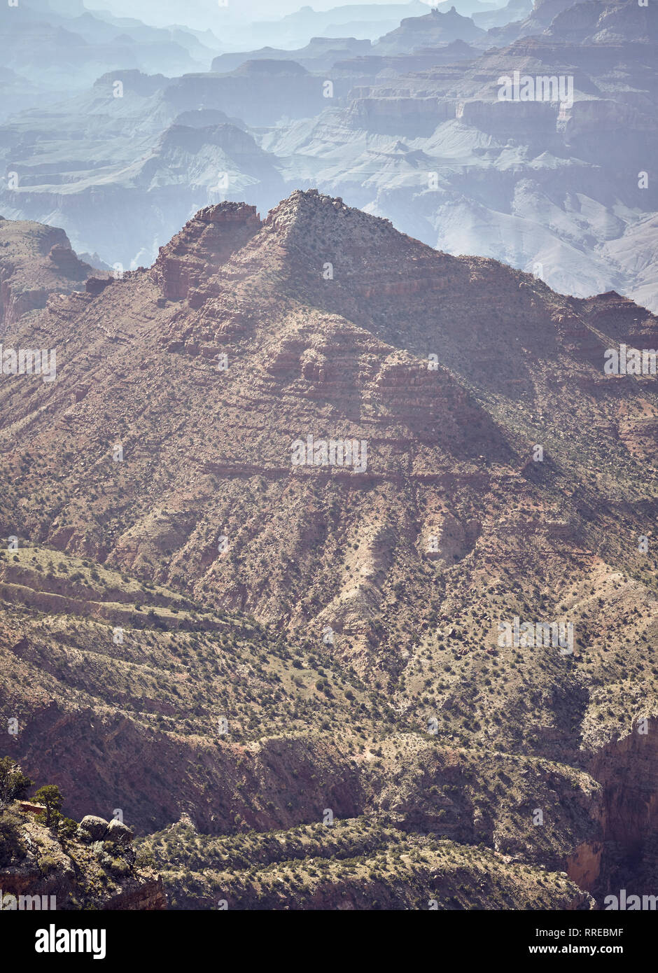 Color toned picture of Grand Canyon, Arizona, USA Stock Photo - Alamy