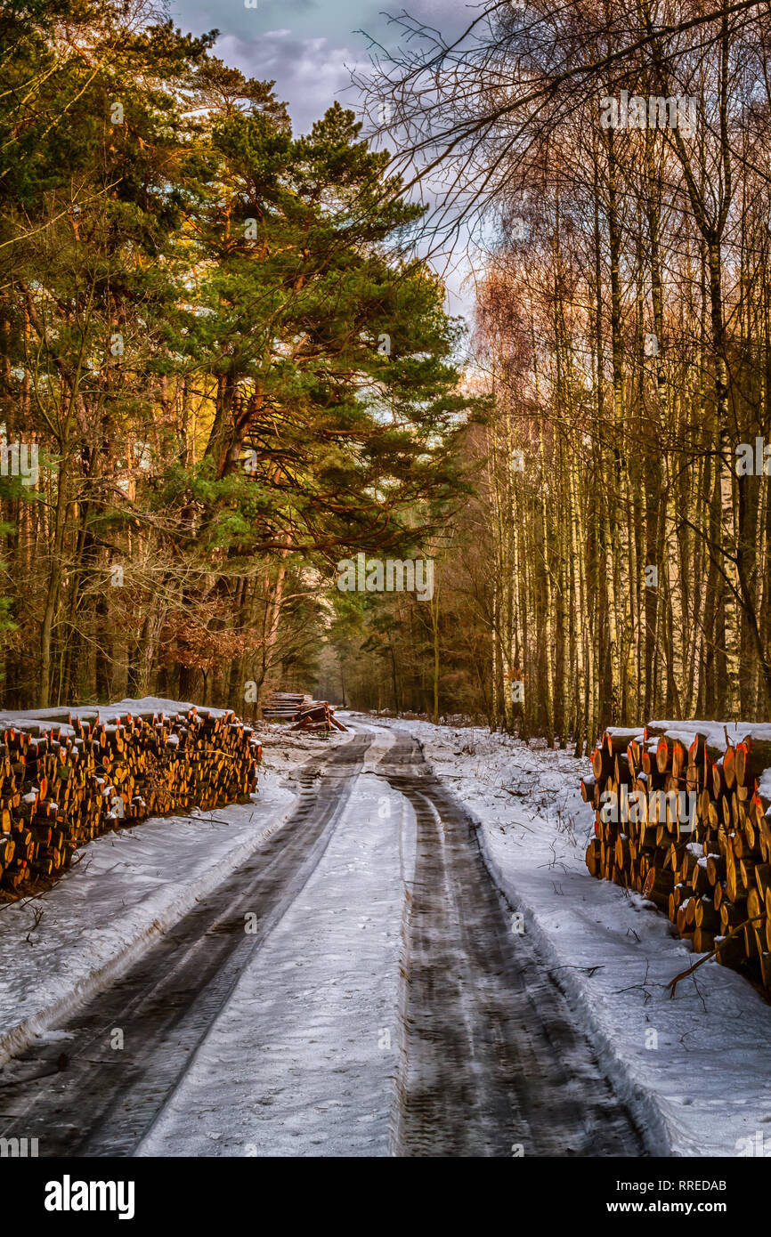 Natural graphic backgrounds Stock Photo - Alamy