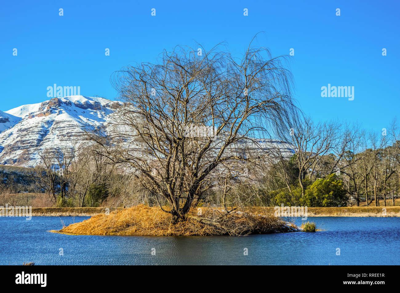 Picture perfect snow capped Drakensberg mountains and green plains in ...