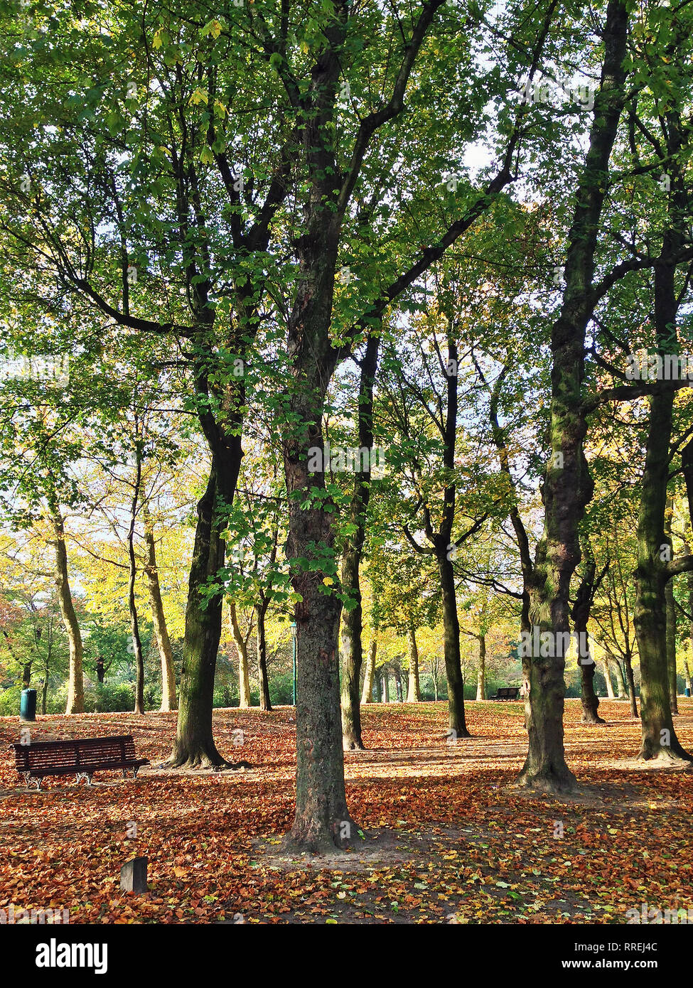 Autumn Park in Brussels, Belgium Stock Photo - Alamy