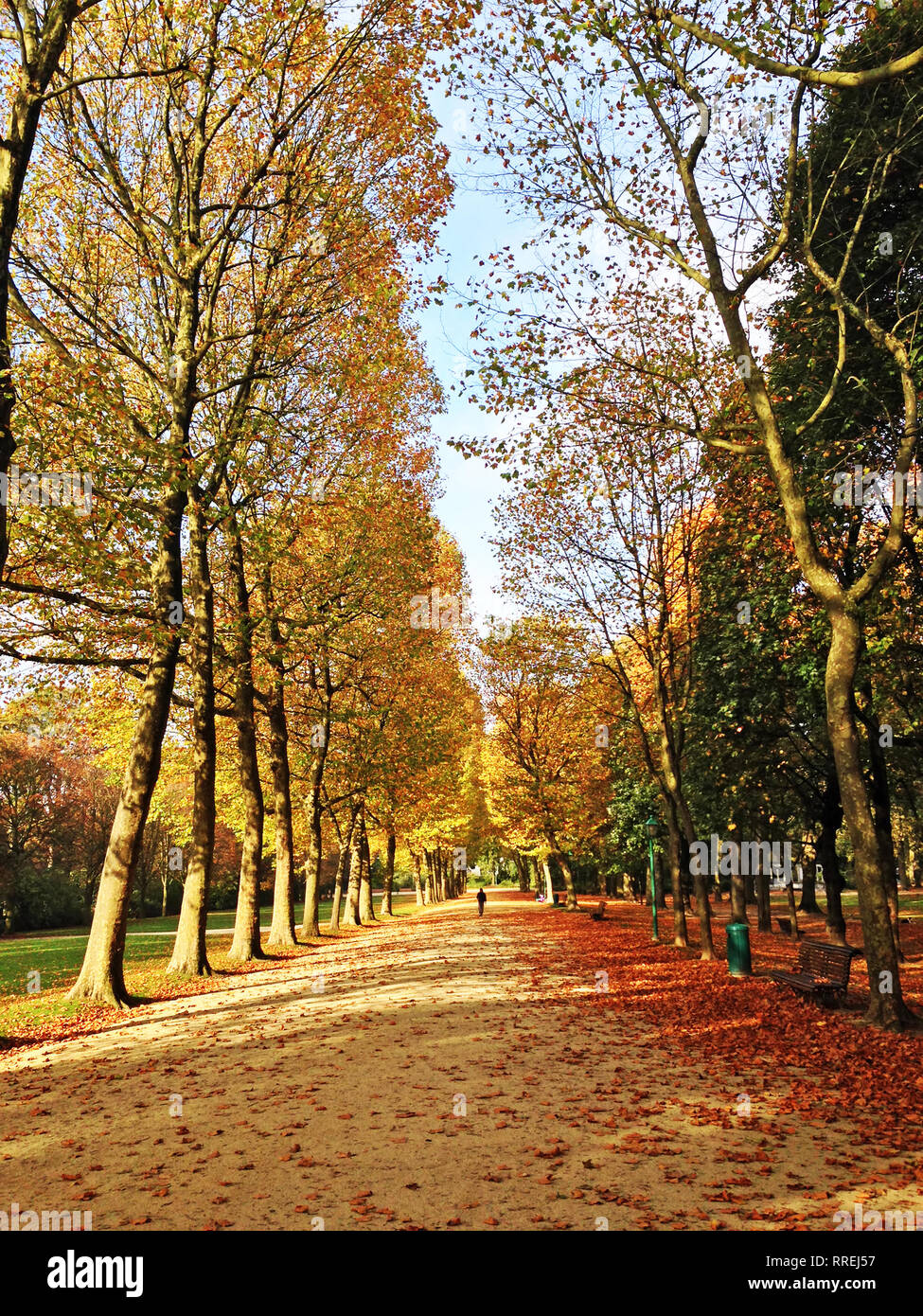 Park of brussels hi-res stock photography and images - Alamy