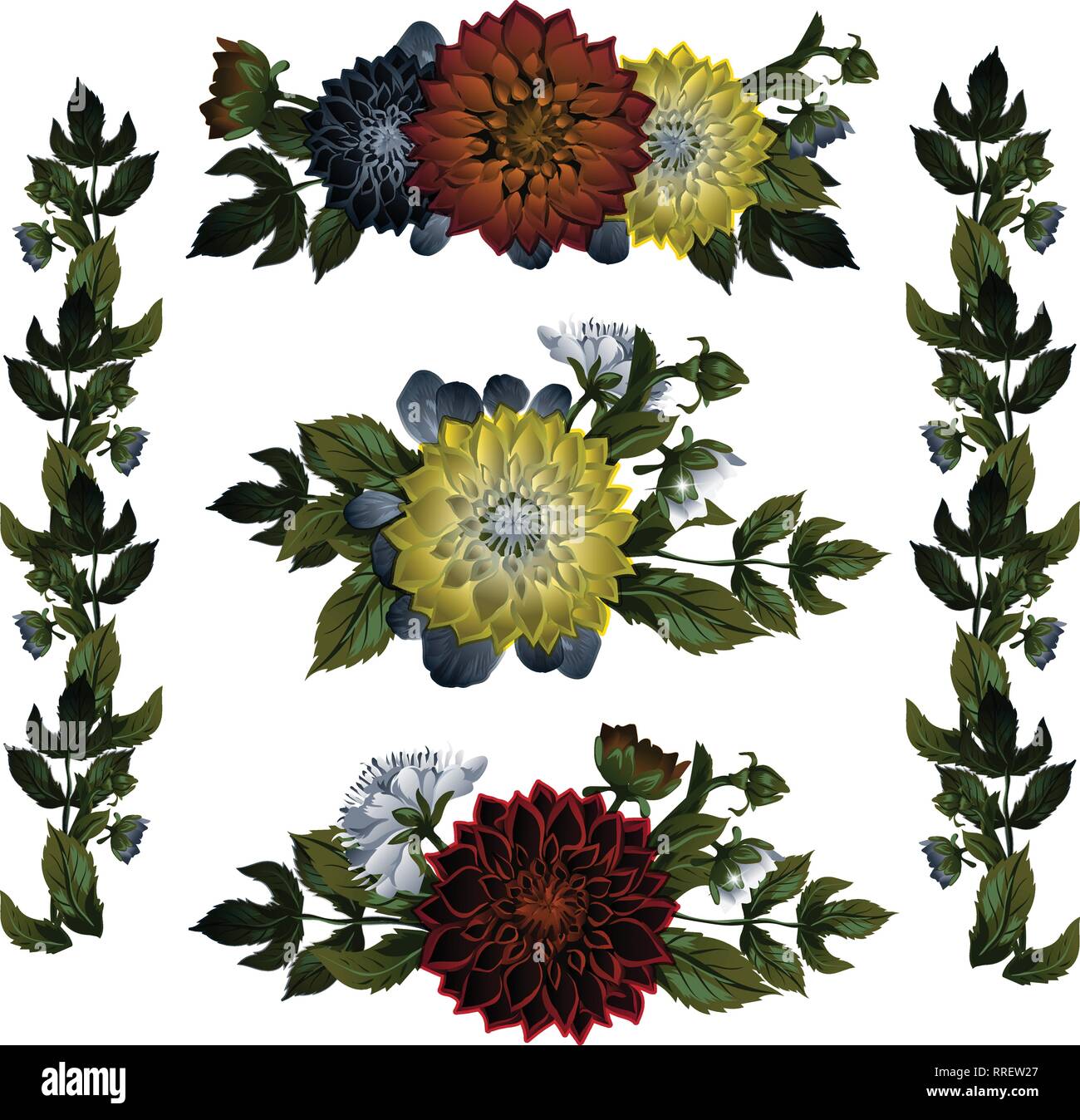 Blooming pink dahlia flowers Stock Vector Images - Alamy