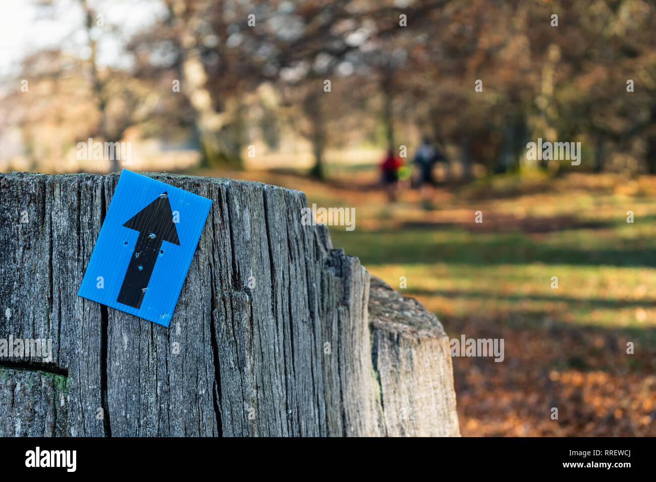 Pointing straight hi-res stock photography and images - Alamy