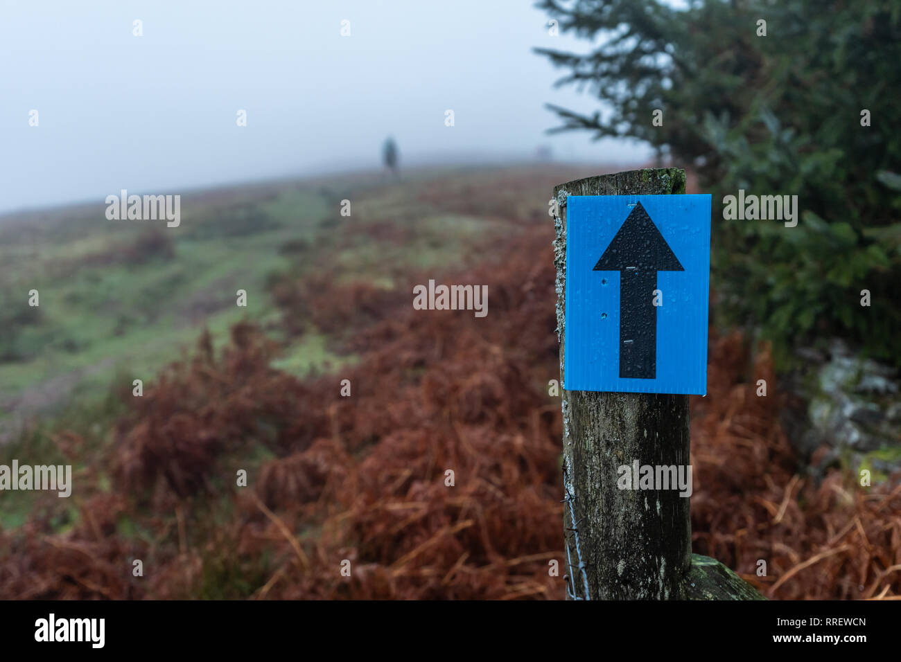 Signpost arrow pointing straight Stock Photo - Alamy