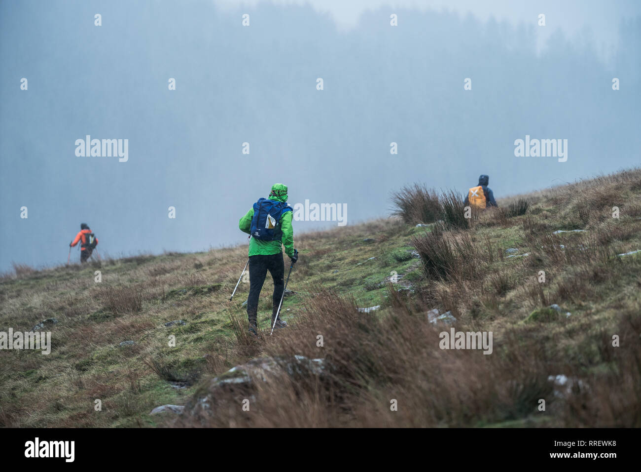 Trail runners during the Exodus Ultramarathon racing Stock Photo - Alamy