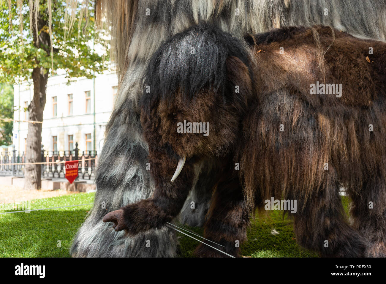 MOSCOW, August 13, 2018: Life-size mockup of a prehistoric mammoth ...