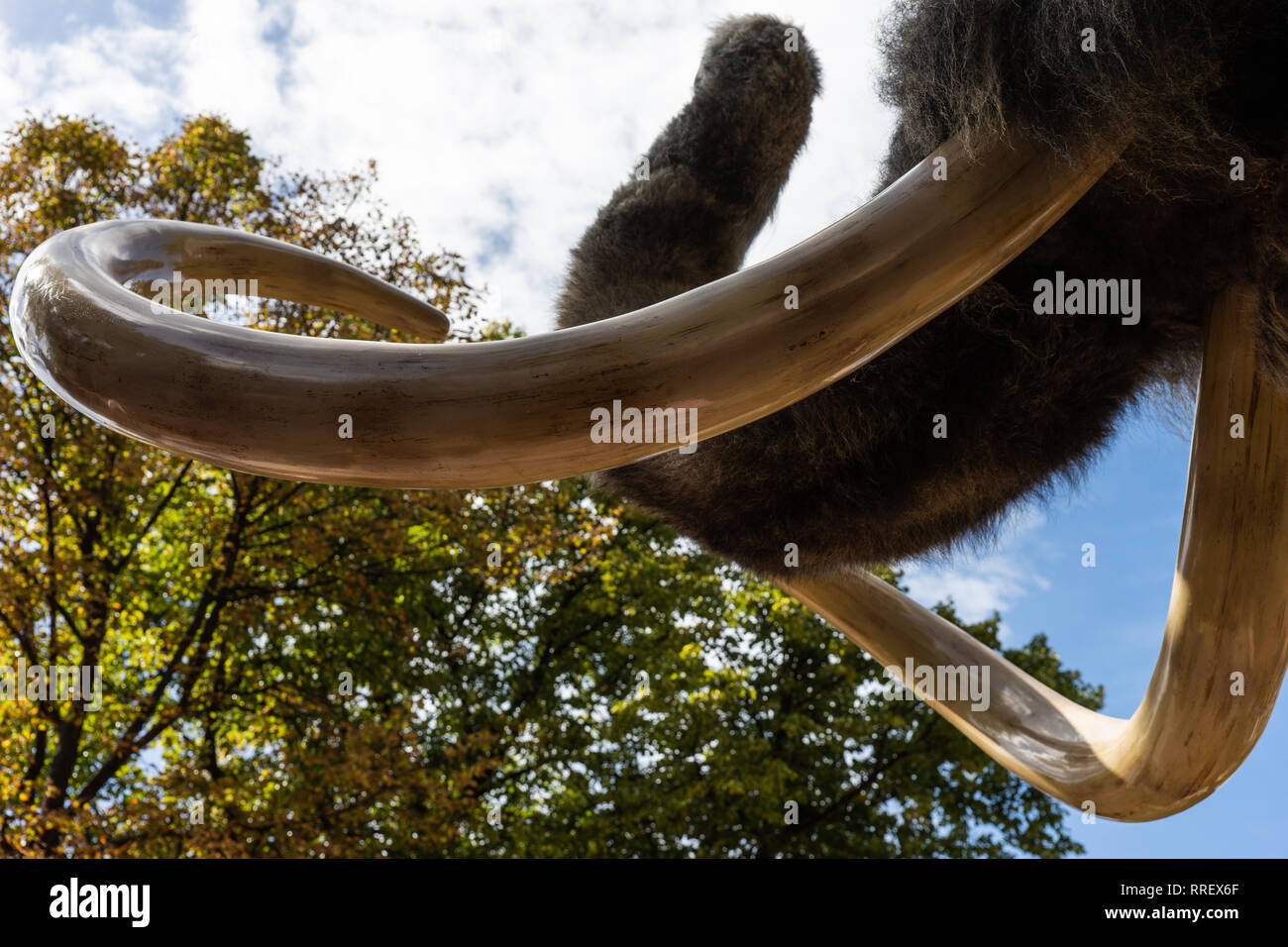 MOSCOW, August 13, 2018: Life-size mockup of a prehistoric mammoth ...
