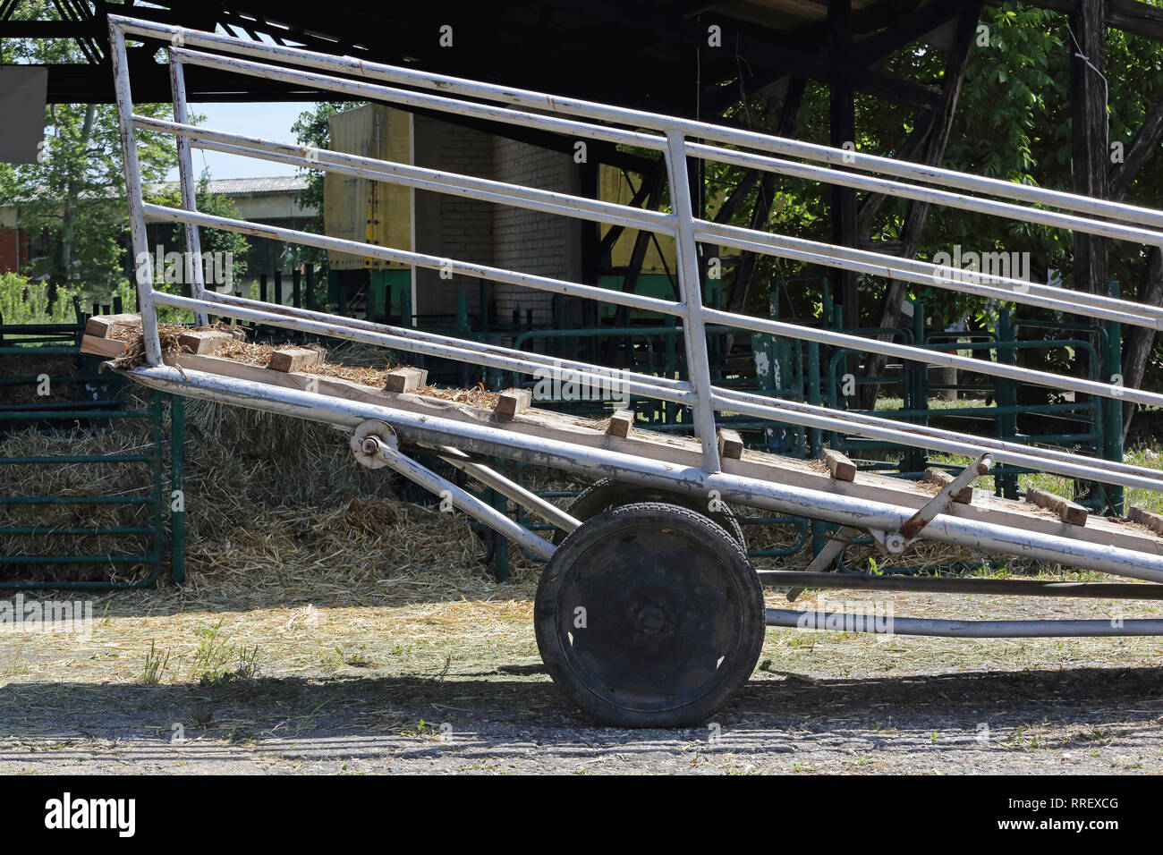 Livestock Cattle Loader Ramp at Farm Stock Photo - Alamy
