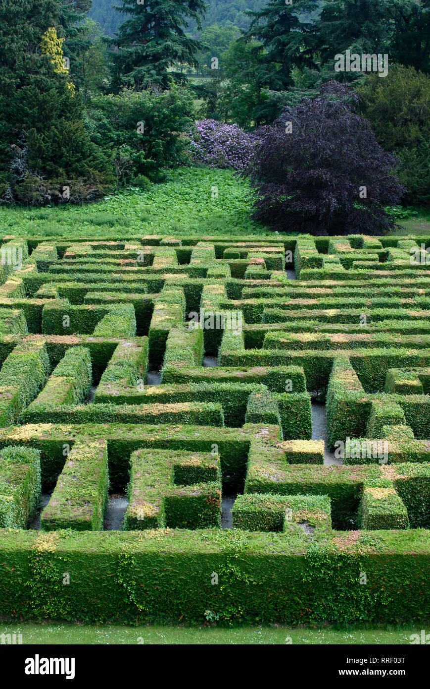 Traquair house maze hi-res stock photography and images - Alamy
