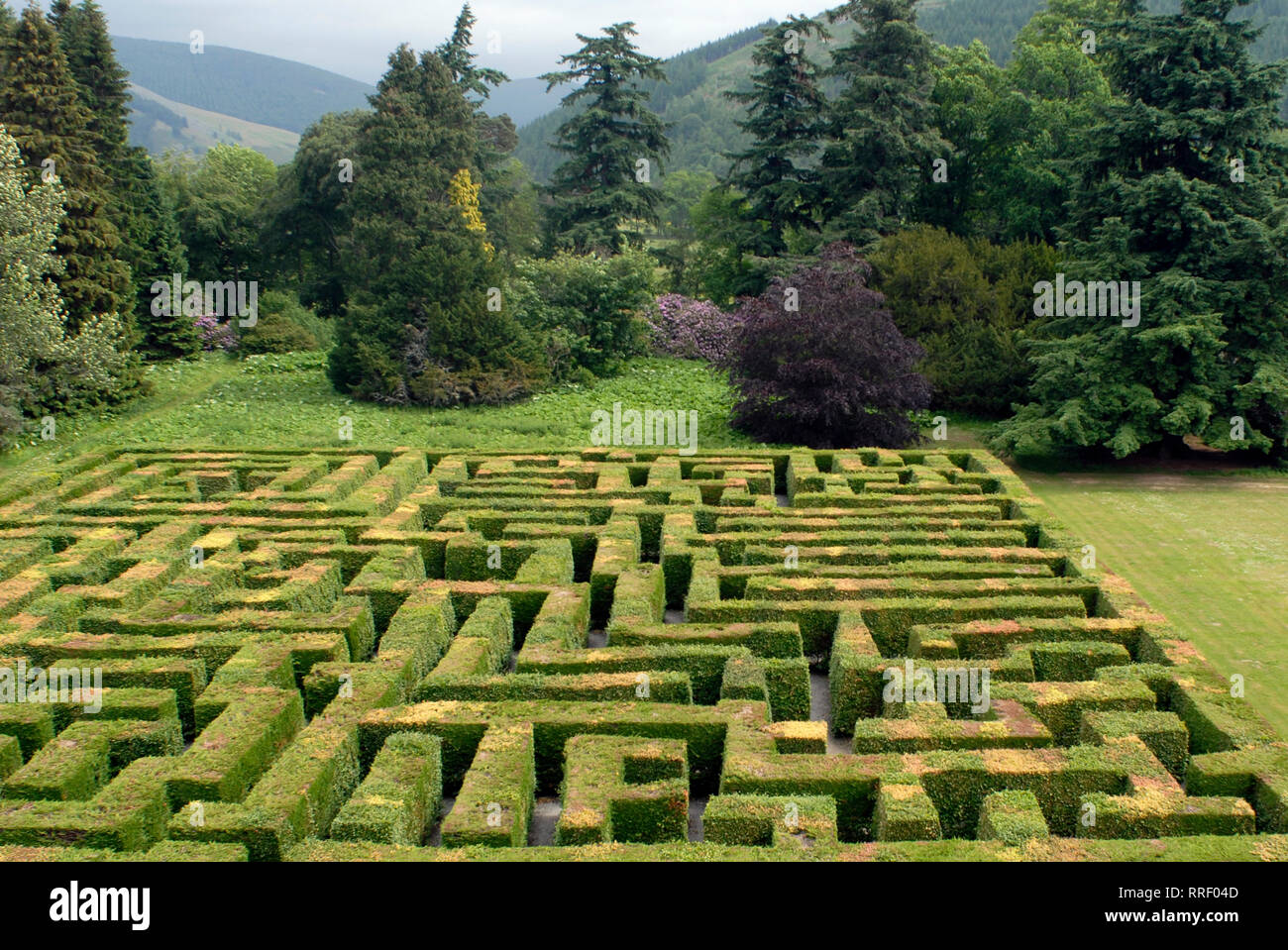 Cultural Tourism: maze view of Traquair House, the oldest inhabitant ...