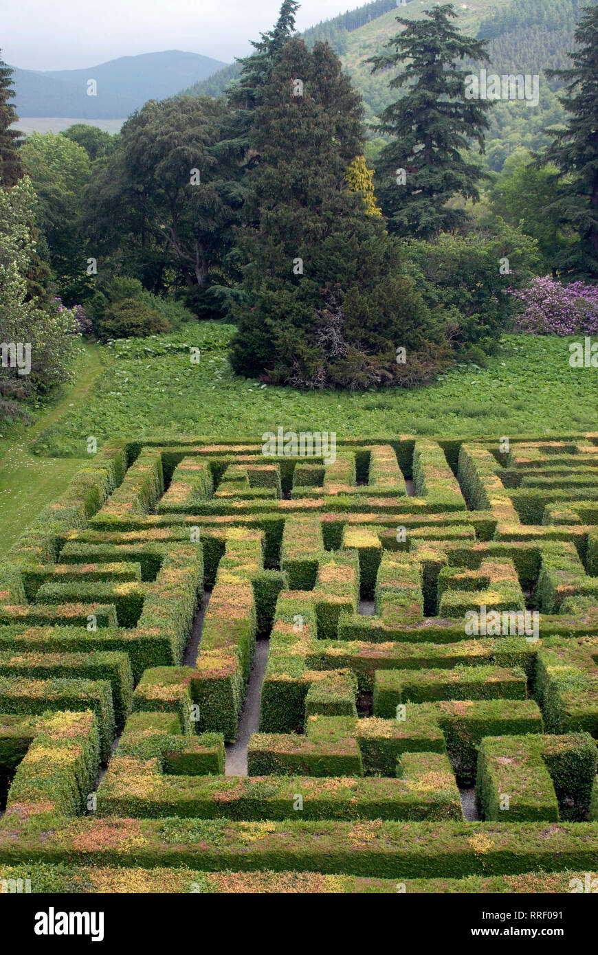 Cultural Tourism: maze of Traquair House, the oldest inhabitant house ...