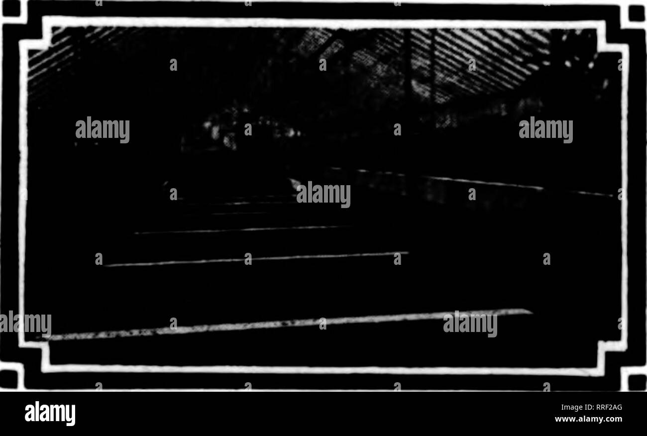 1920 dinner Black and White Stock Photos & Images - Alamy