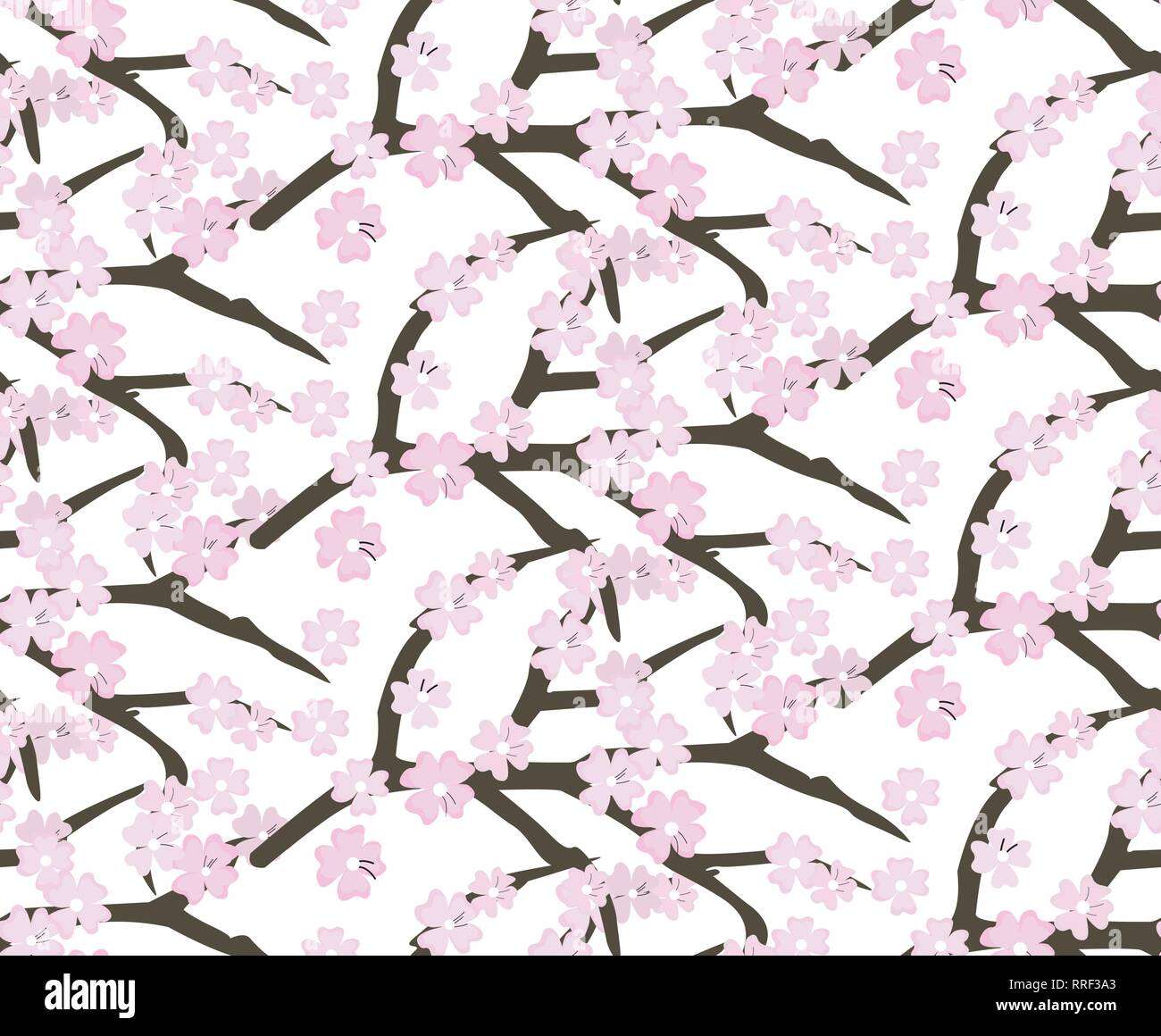 Cherry blossom flowers background. Sakura pink flowers Stock Vector Image & Art - Alamy