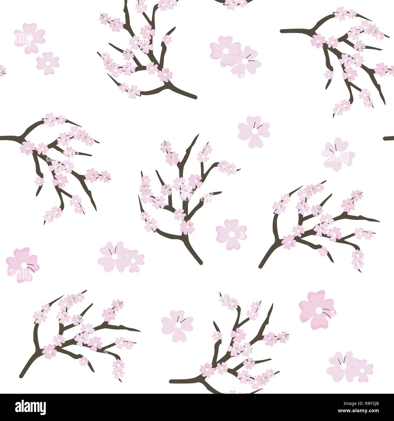 Cherry blossom flowers background. Sakura pink flowers Stock Vector Image & Art - Alamy