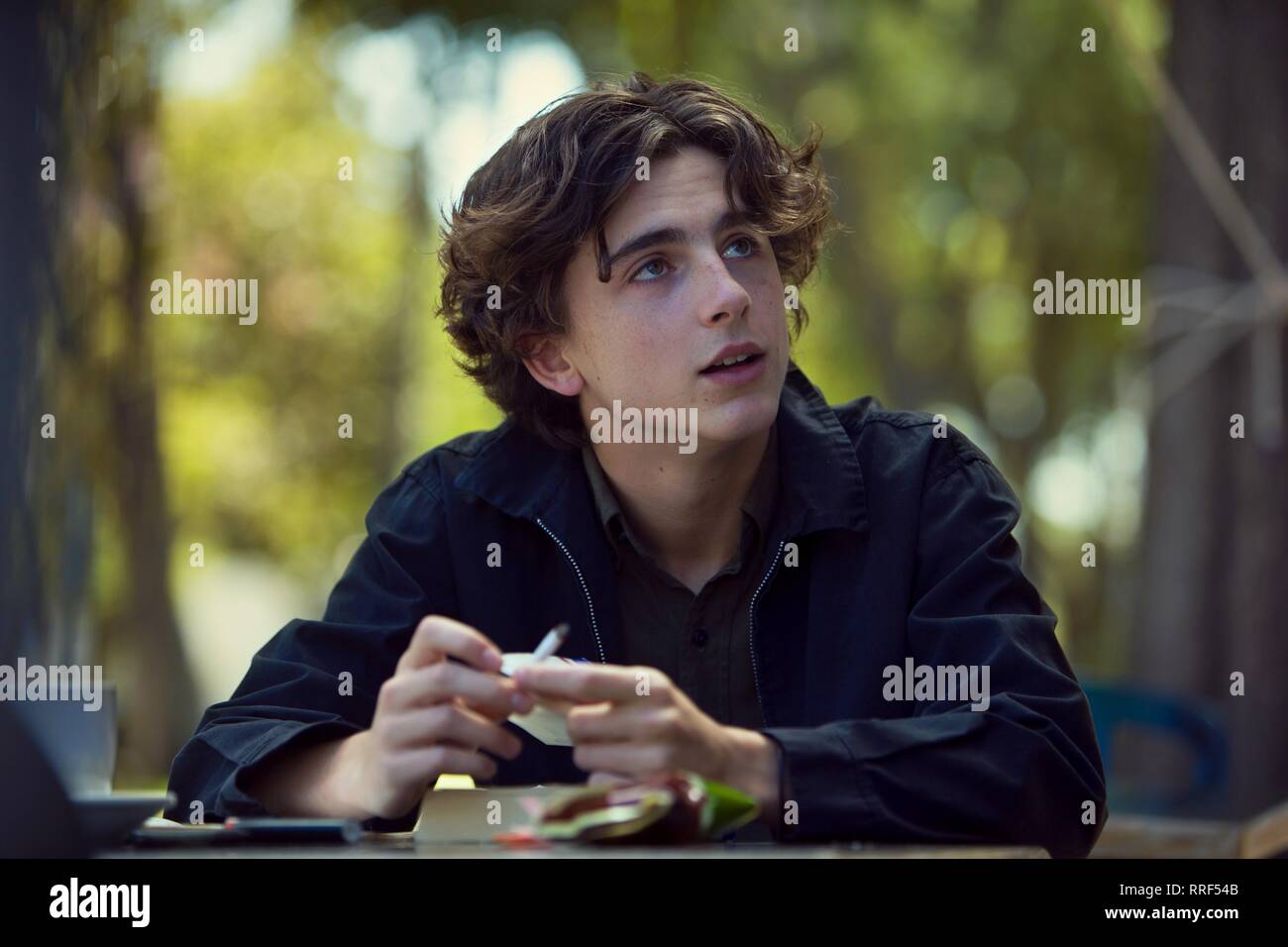 Timothee Chalamet High Resolution Stock Photography and Images - Alamy