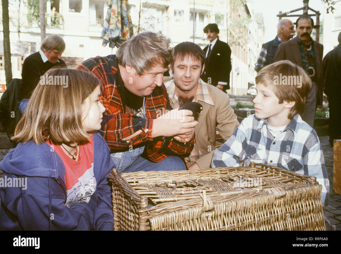 53986 hi-res stock photography and images - Alamy