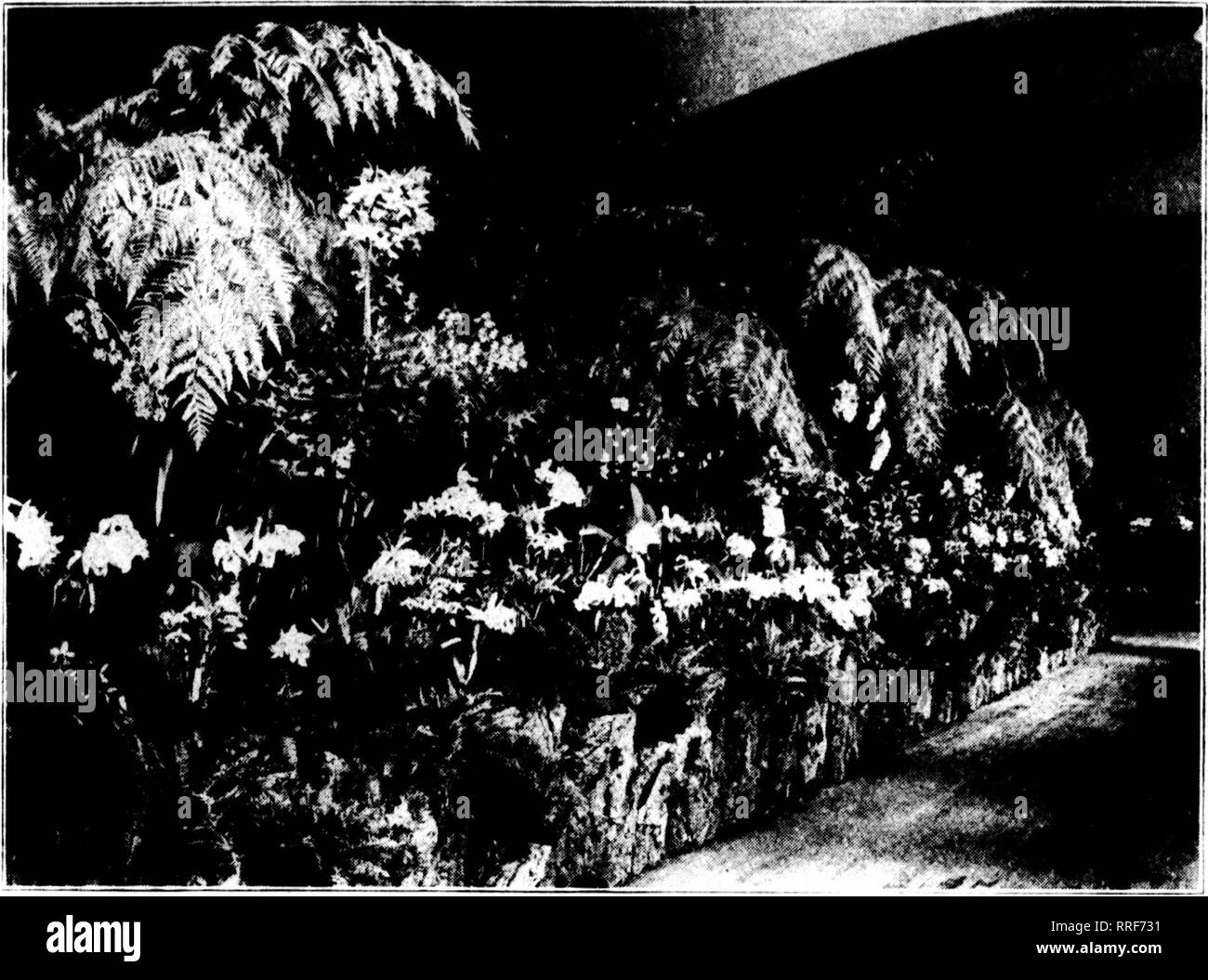 Medal charles x Black and White Stock Photos & Images - Alamy