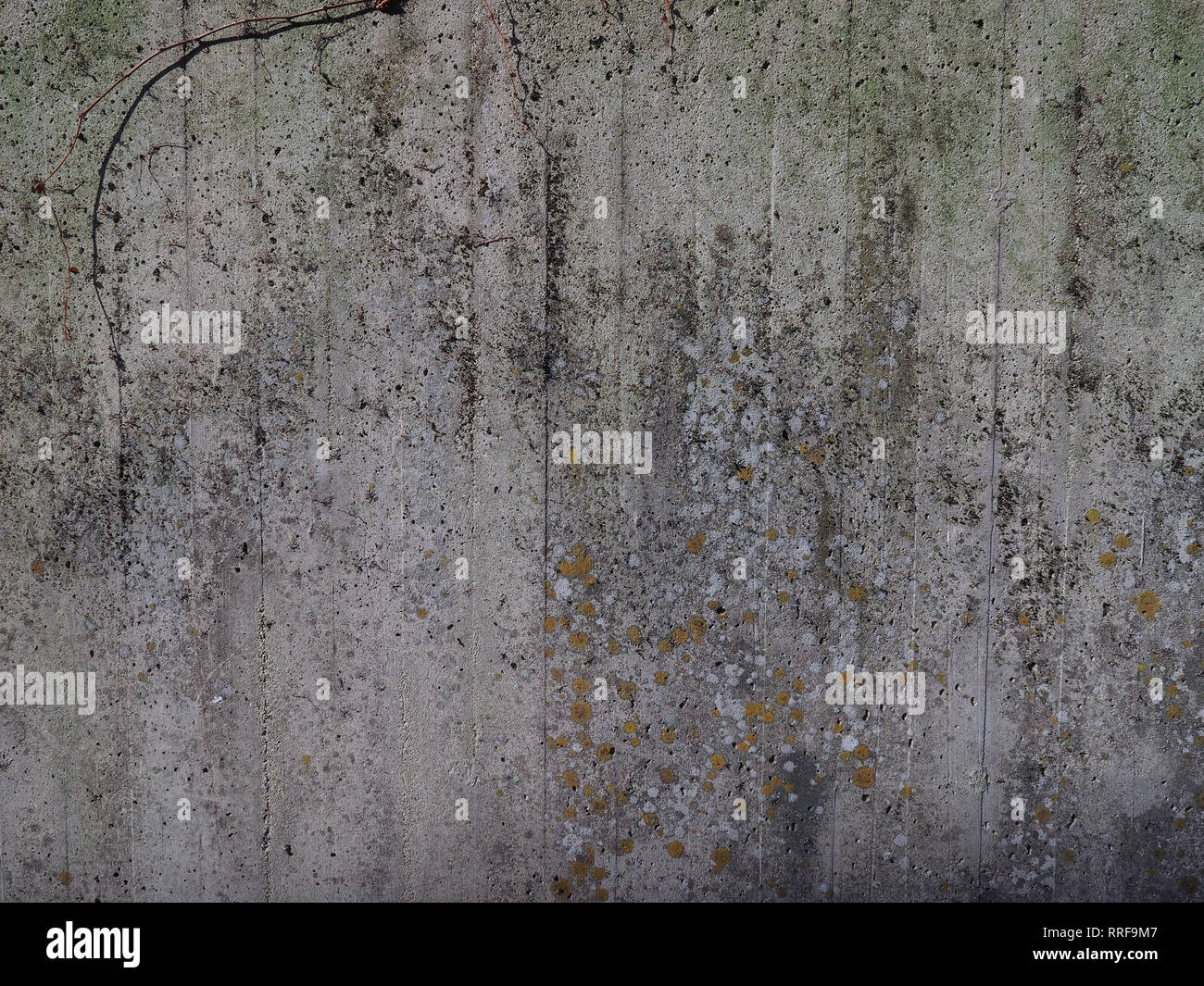 grey concrete texture useful as a background Stock Photo - Alamy