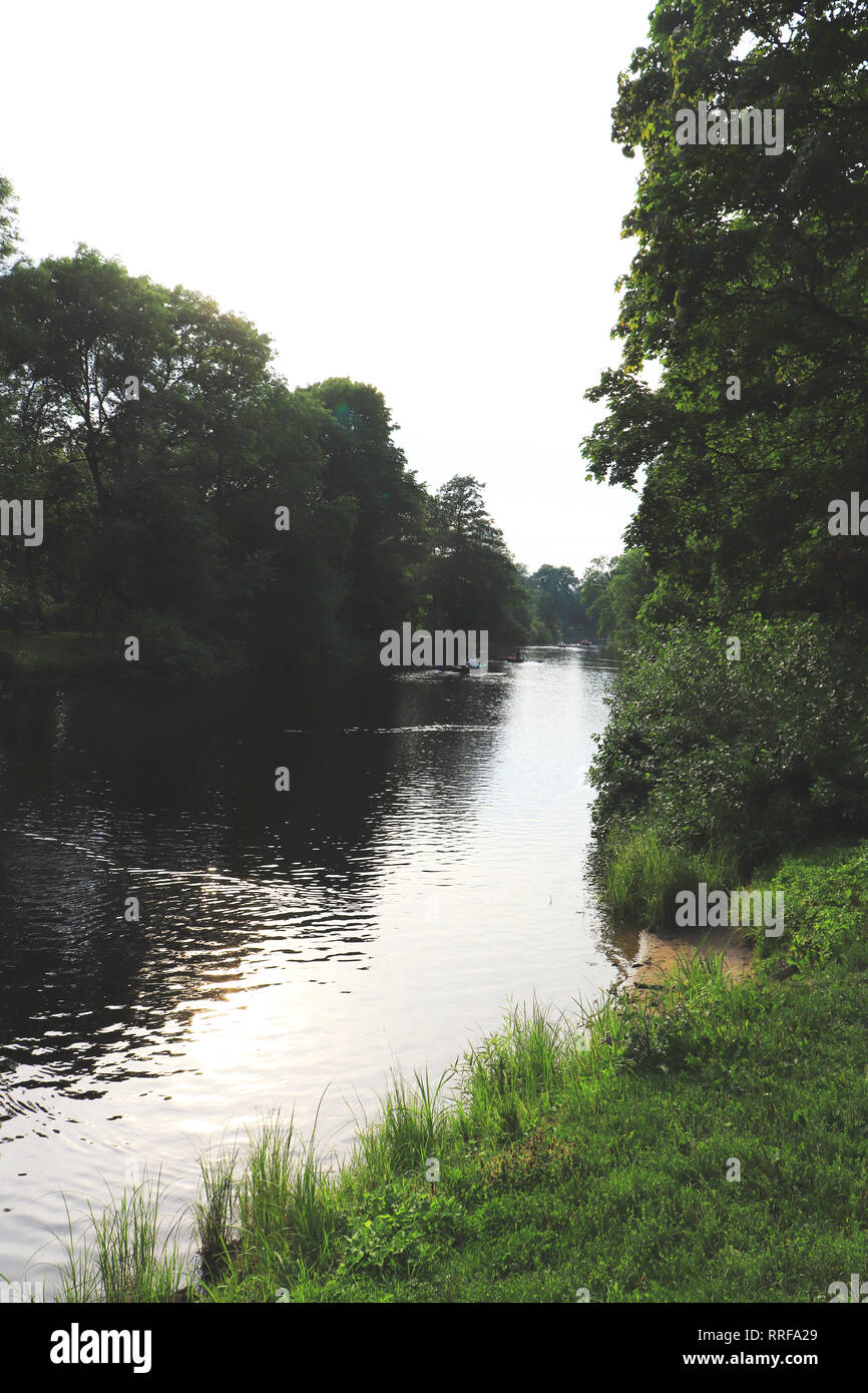 Far away trees hi-res stock photography and images - Alamy