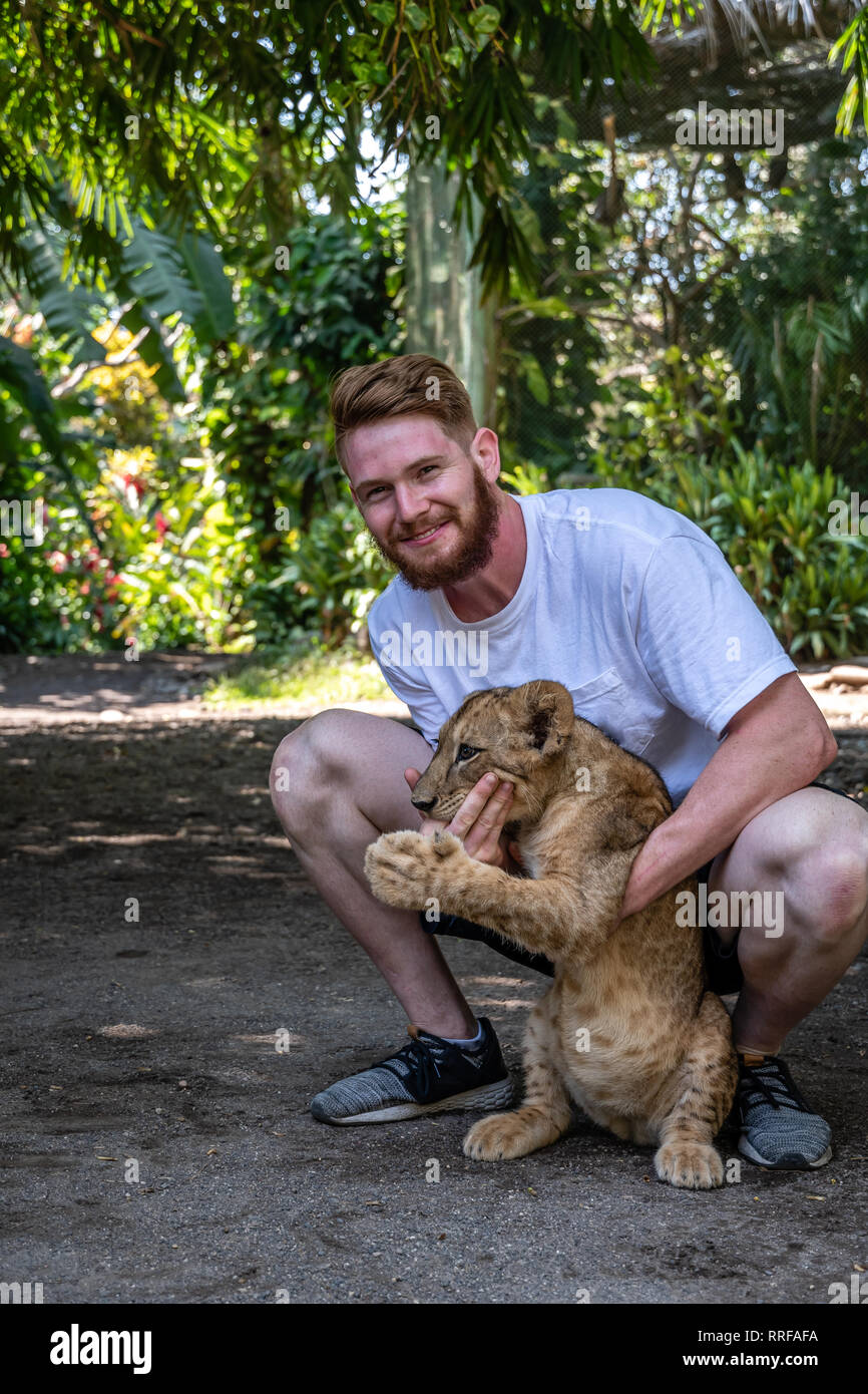 Man holding baby lion hi-res stock photography and images - Alamy