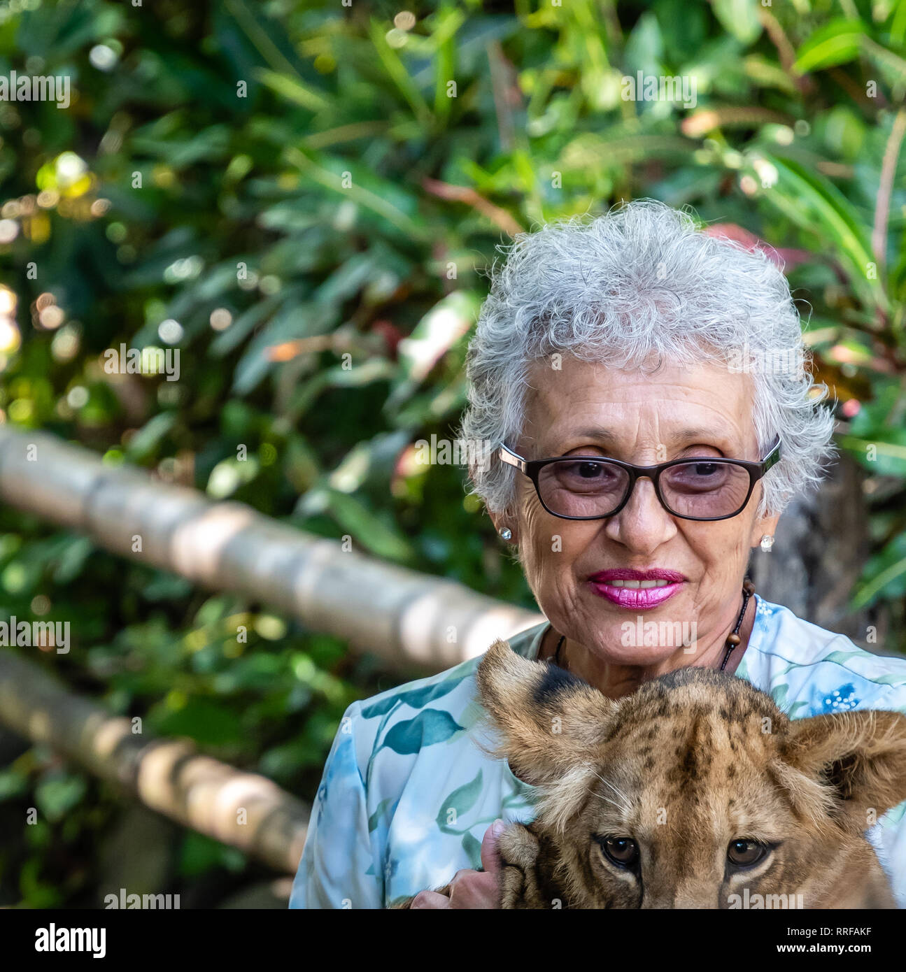 latin grandma holding baby lion in Guatemalan zoo Stock Photo - Alamy