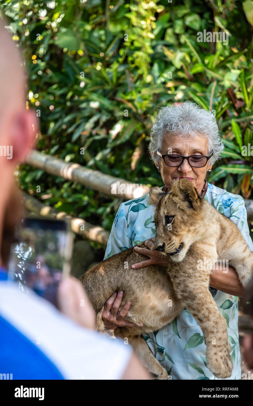 latin grandma holding baby lion in Guatemalan zoo Stock Photo - Alamy