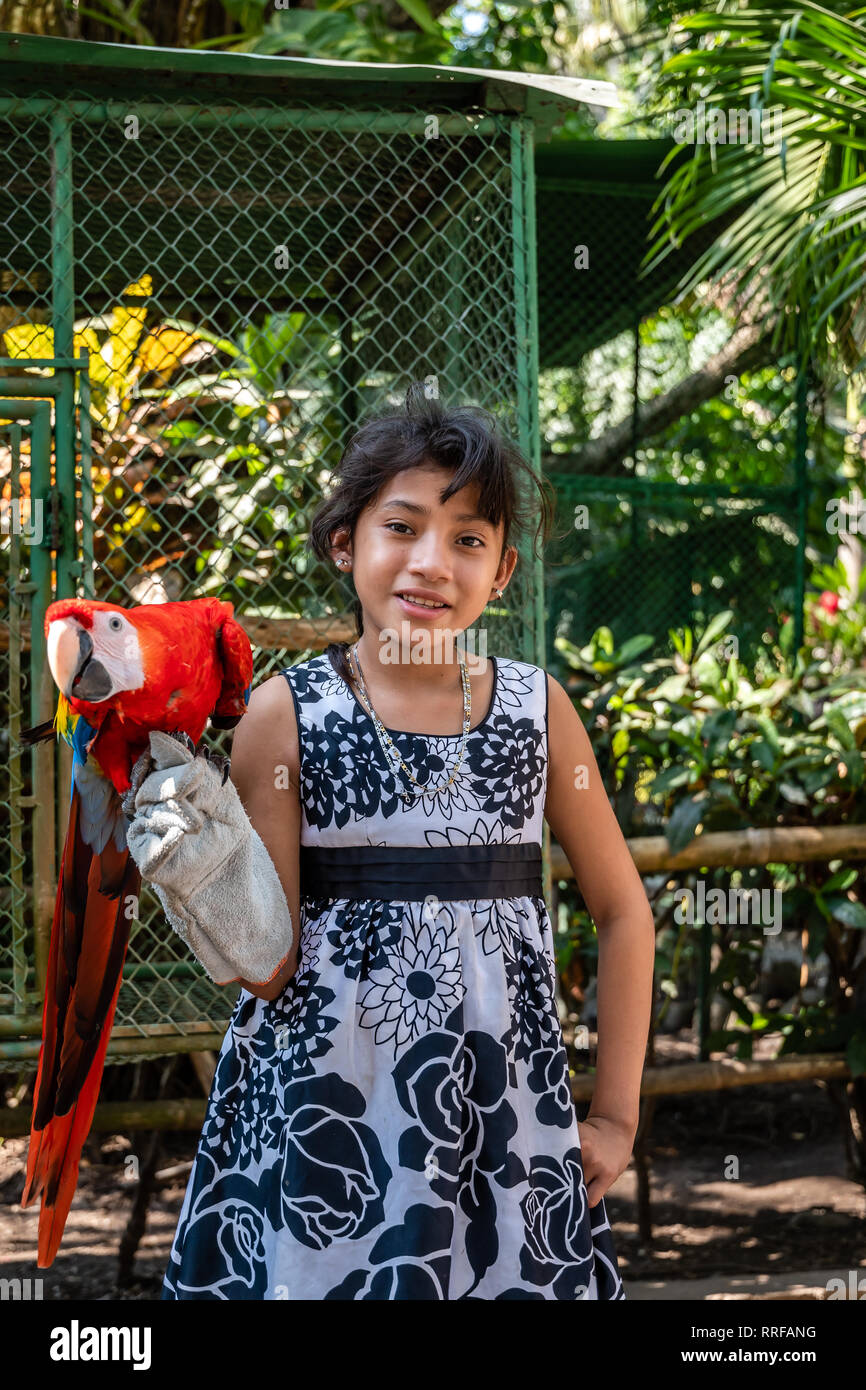 young latin girl holding parrot in Guatemalan zoo Stock Photo - Alamy