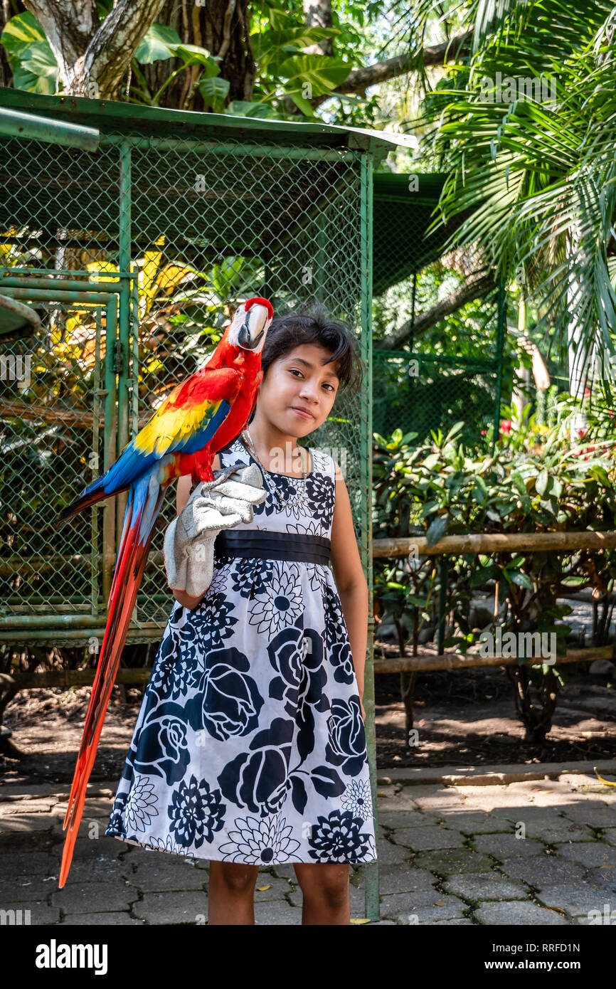 young latin girl holding parrot in Guatemalan zoo Stock Photo - Alamy