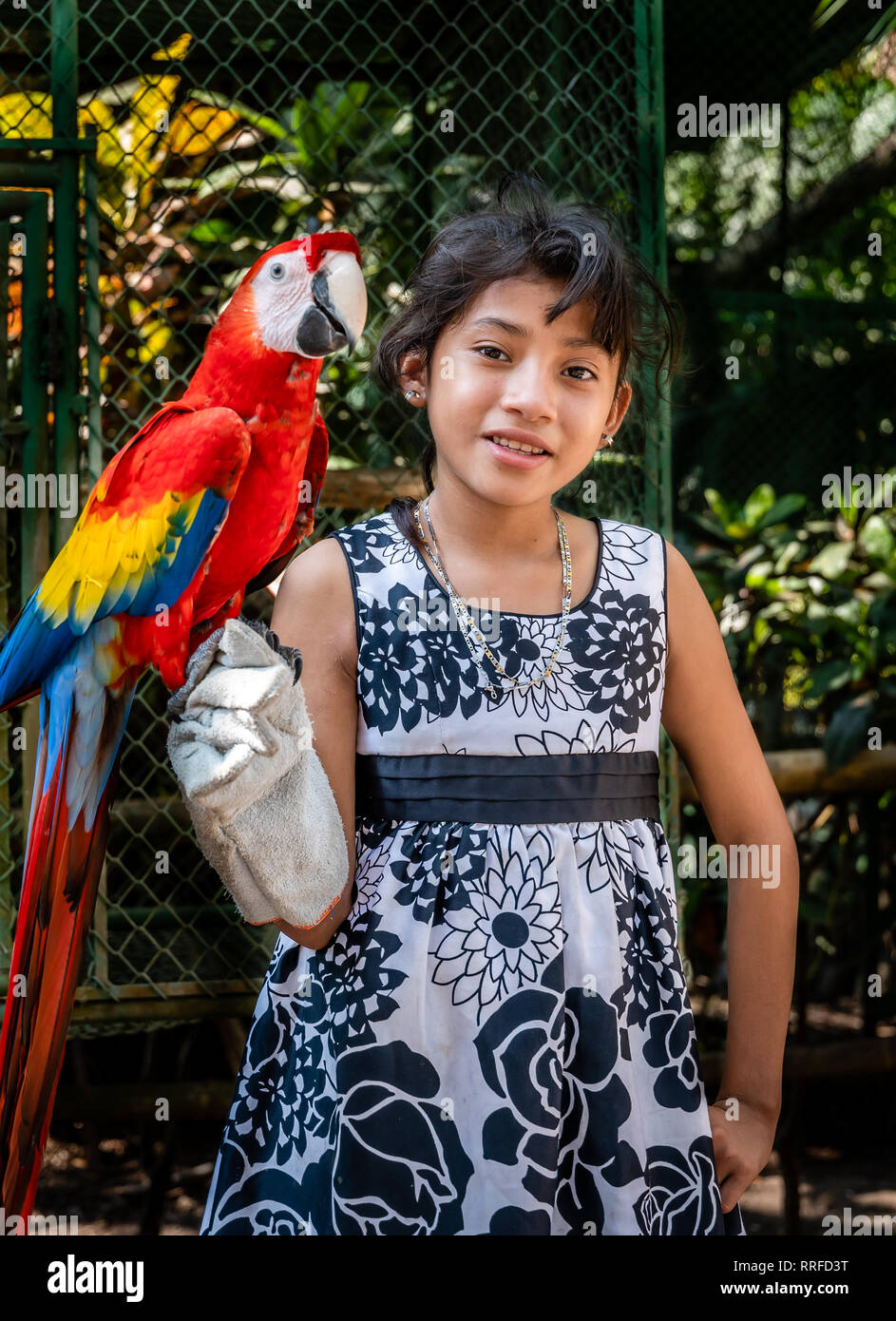 young latin girl holding parrot in Guatemalan zoo Stock Photo - Alamy