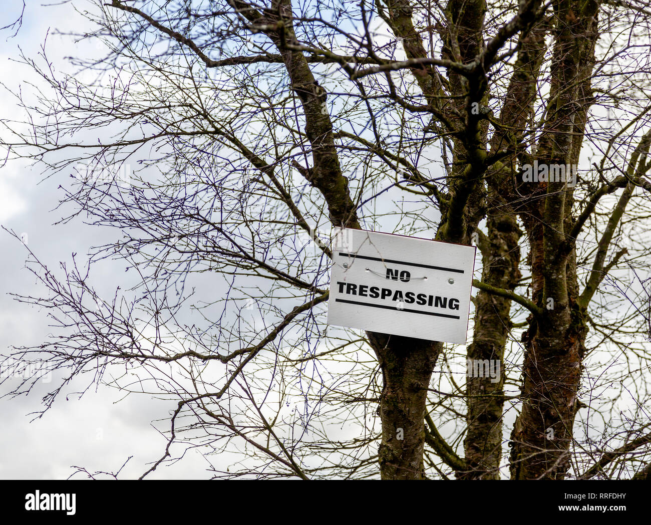 No trespassing sign tree hi-res stock photography and images - Alamy