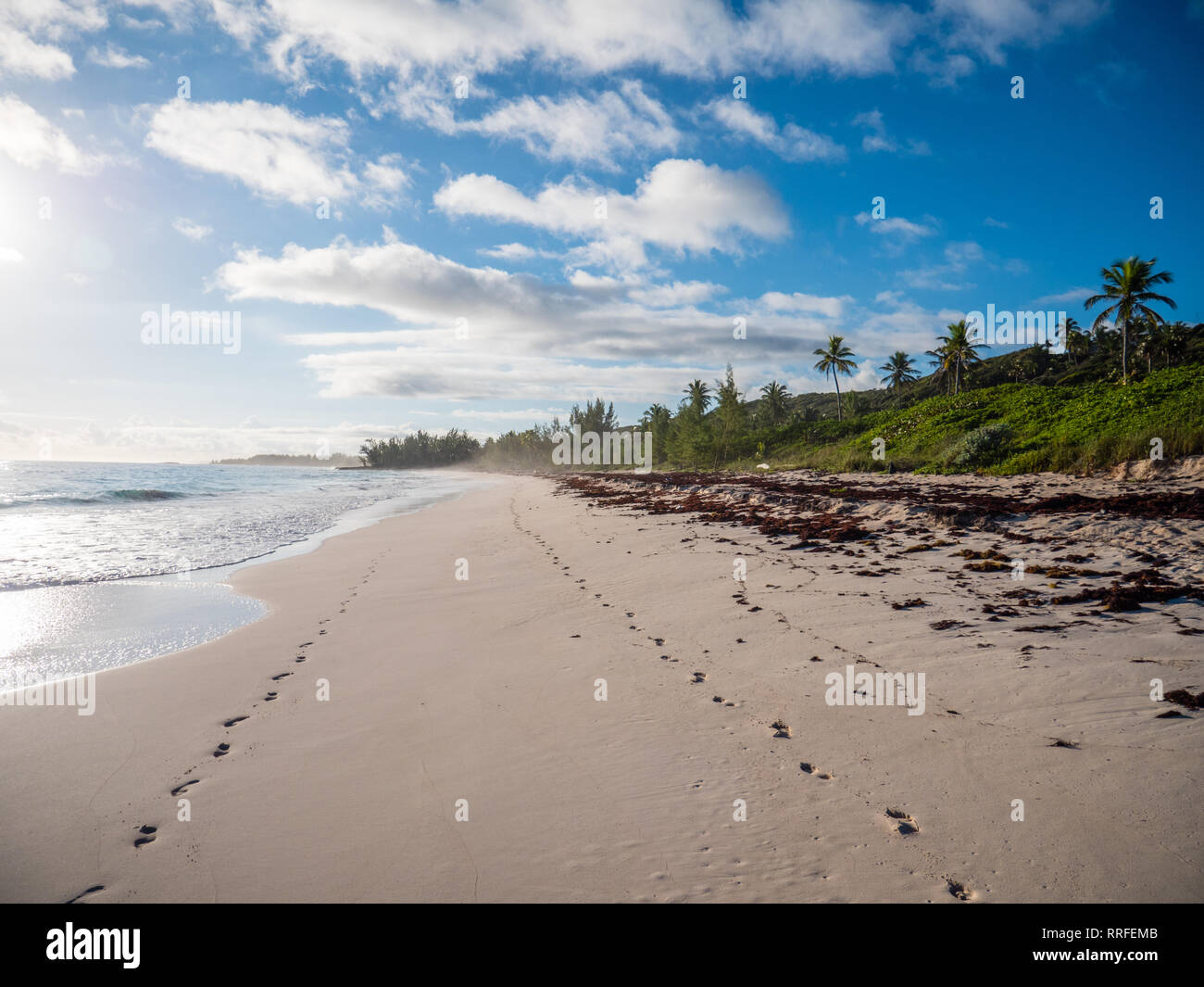 Footprints on Remote Sky Beach, Atlantic Coastline, Eleuthera, The ...