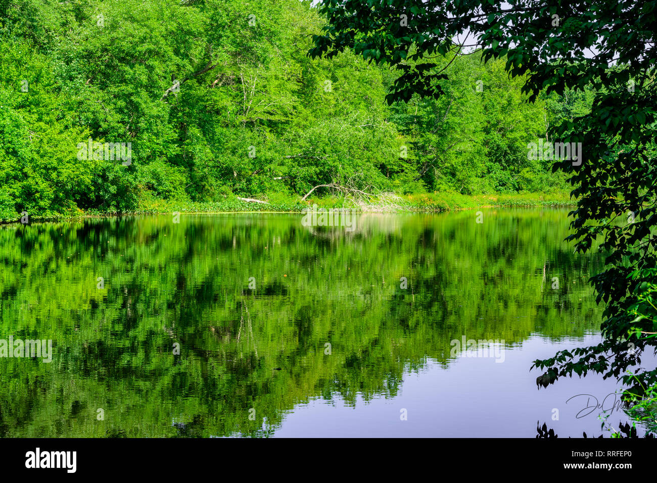 Assonet river hi-res stock photography and images - Alamy
