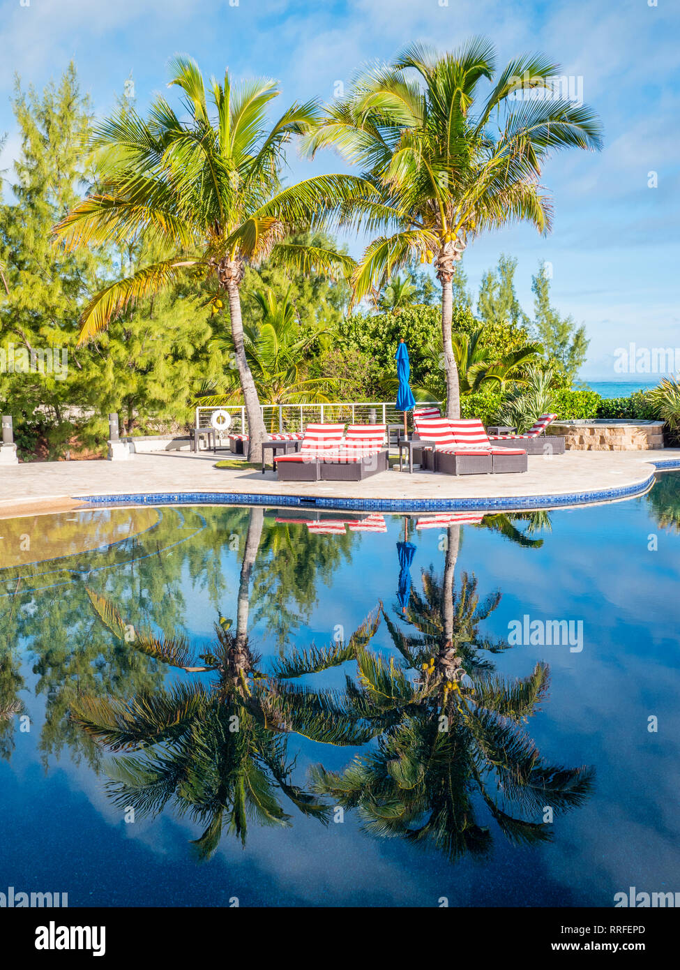Reflection of Palm Trees, In Swimming Pool, Sky Beach Club, Eleuthera ...