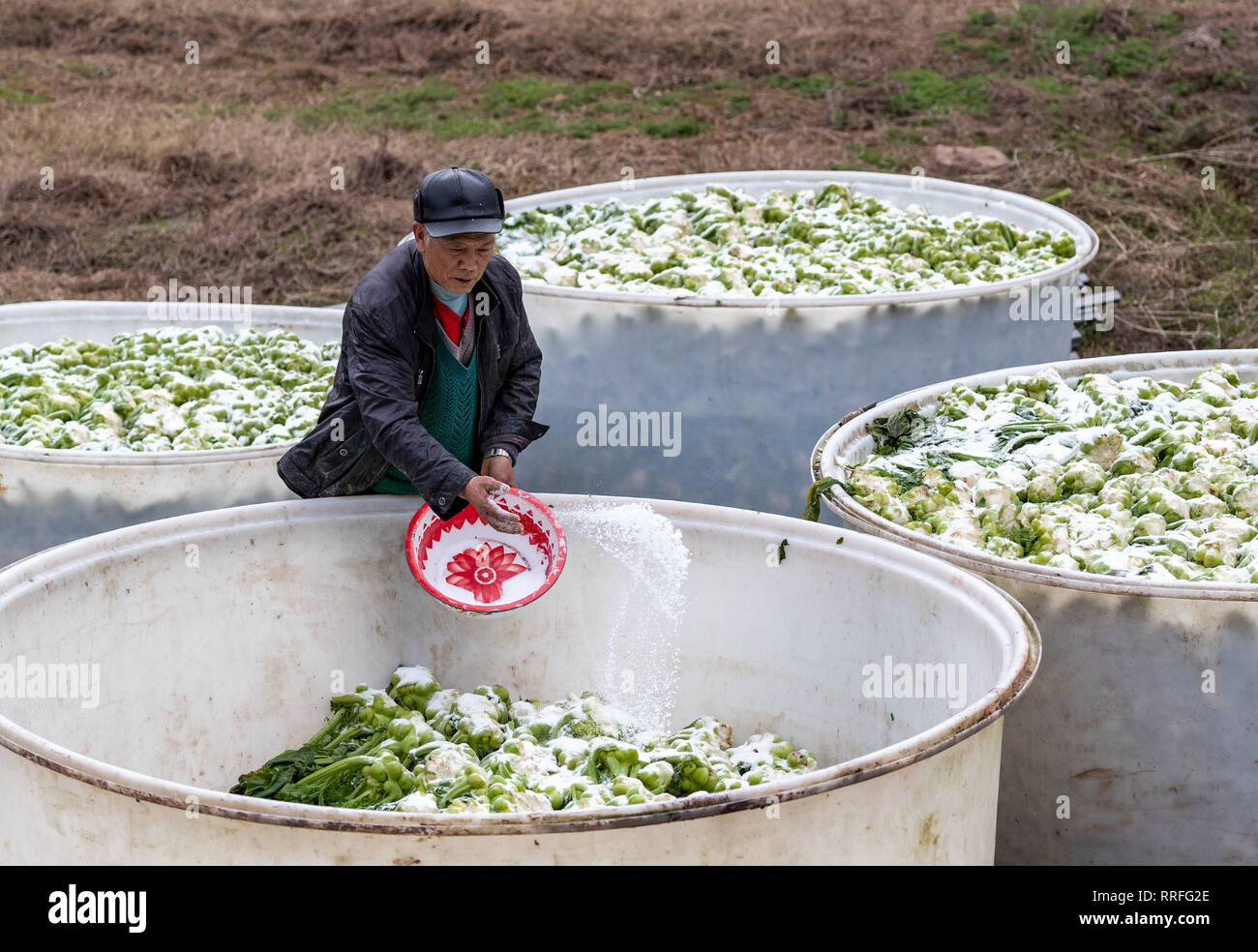 Vegetable qu hi-res stock photography and images - Alamy