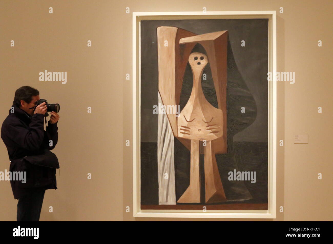 Olga picasso hi-res stock photography and images - Alamy