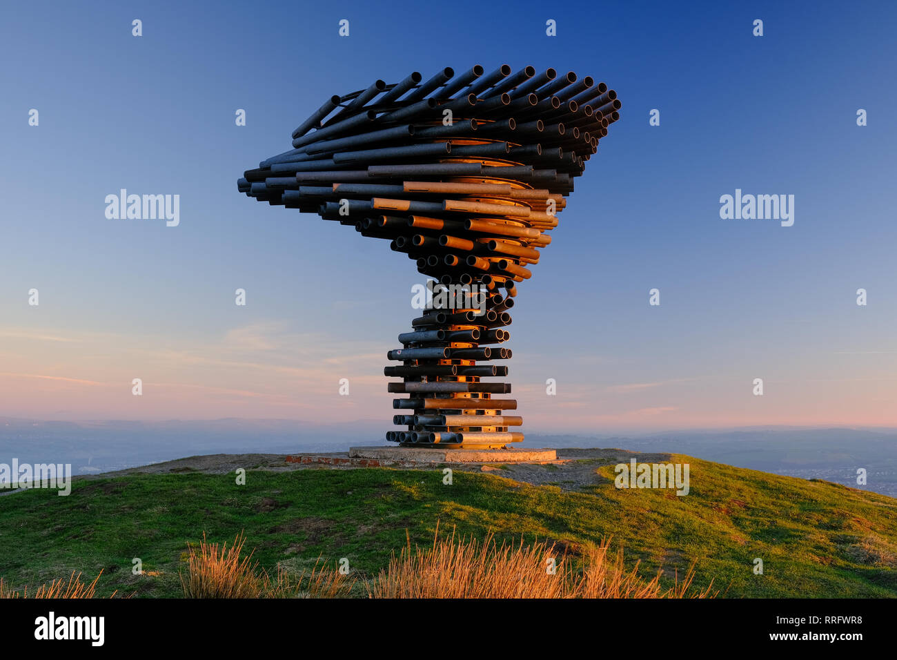 Tree art installation of hi-res stock photography and images - Alamy