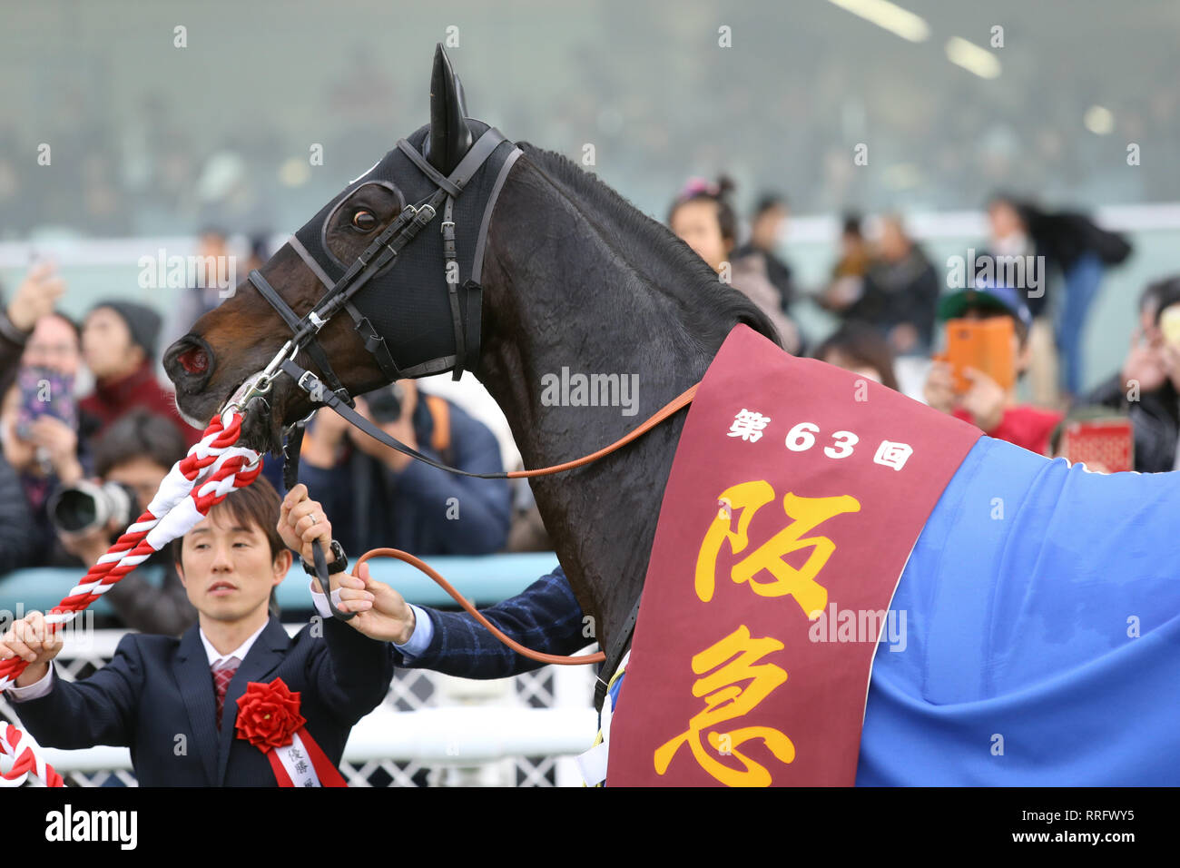 Hyogo, Japan. 24th Feb, 2019. Smart Odin Horse Racing : Smart Odin ...