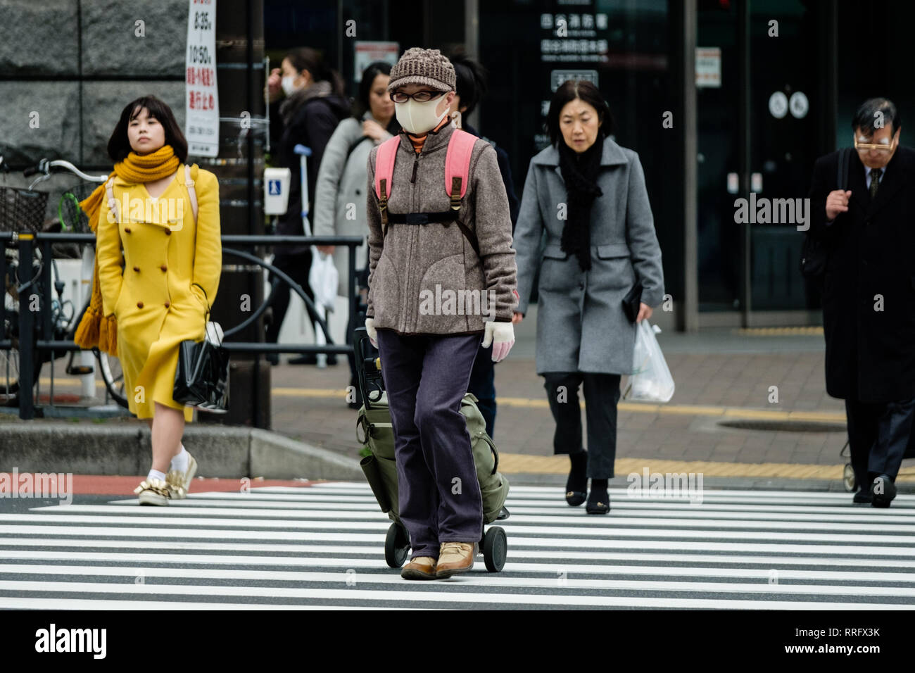 February 26, 2019 - Tokyo, Japan - A woman wears a mask during the hay ...