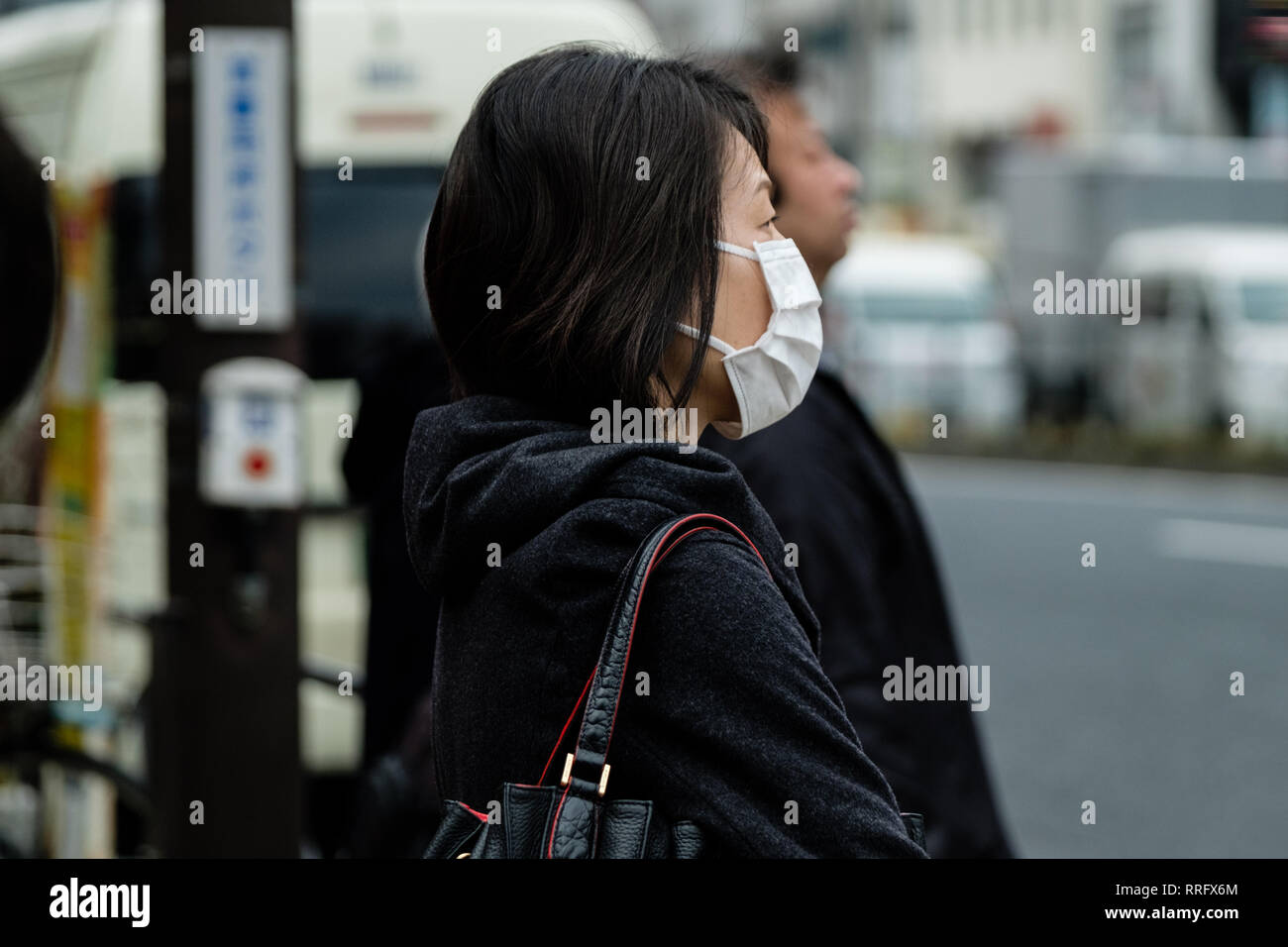February 26, 2019 - Tokyo, Japan - A woman wears a mask during the hay ...