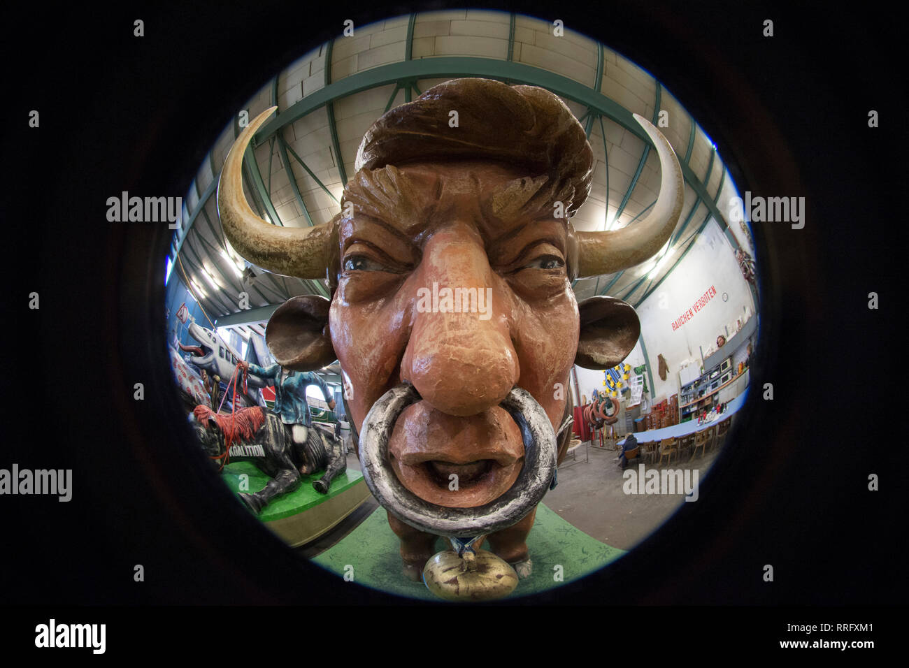 Ring through his nose hi-res stock photography and images - Alamy