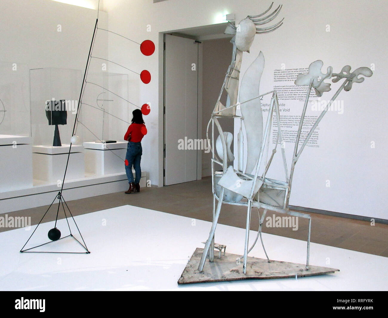 Woman In The Garden Picasso