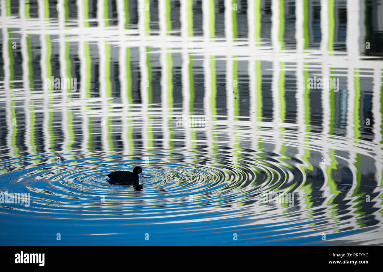 Dortmund, Germany. 26th Feb, 2019. Concentric circles have formed ...
