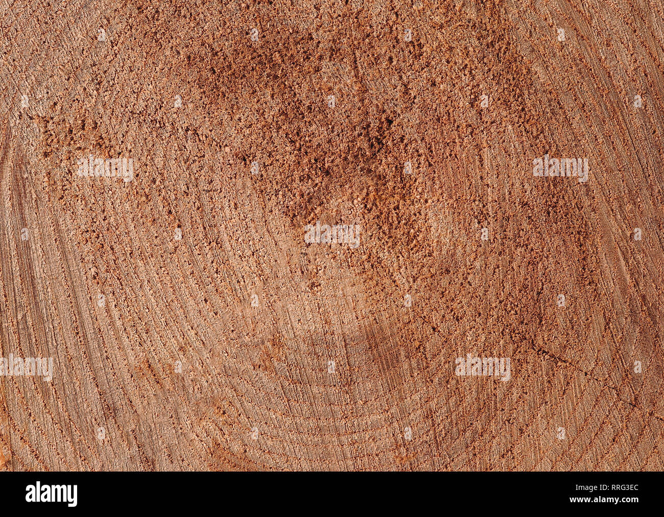 Cut of old log with cracks close-up with natural texture Stock Photo ...