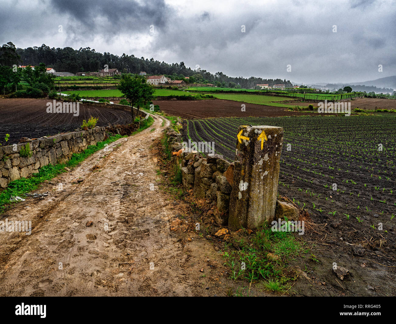 Rural Landscape in Portugal on the Camino de Santiago Stock Photo - Alamy
