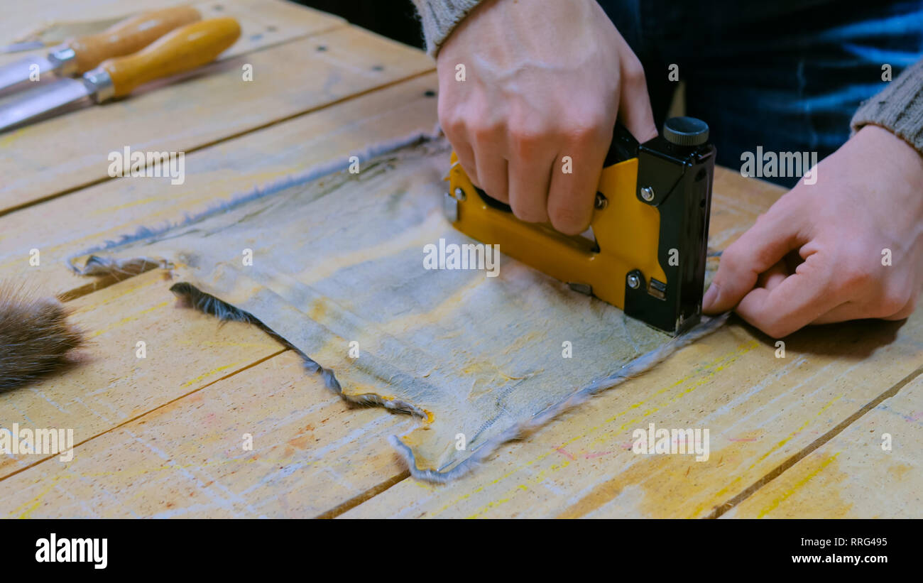 Skinner working with mink fur skin Stock Photo - Alamy