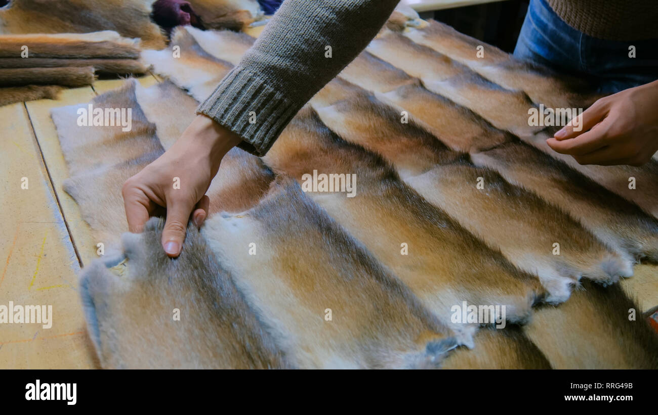 Skinner working with mink fur skin Stock Photo - Alamy