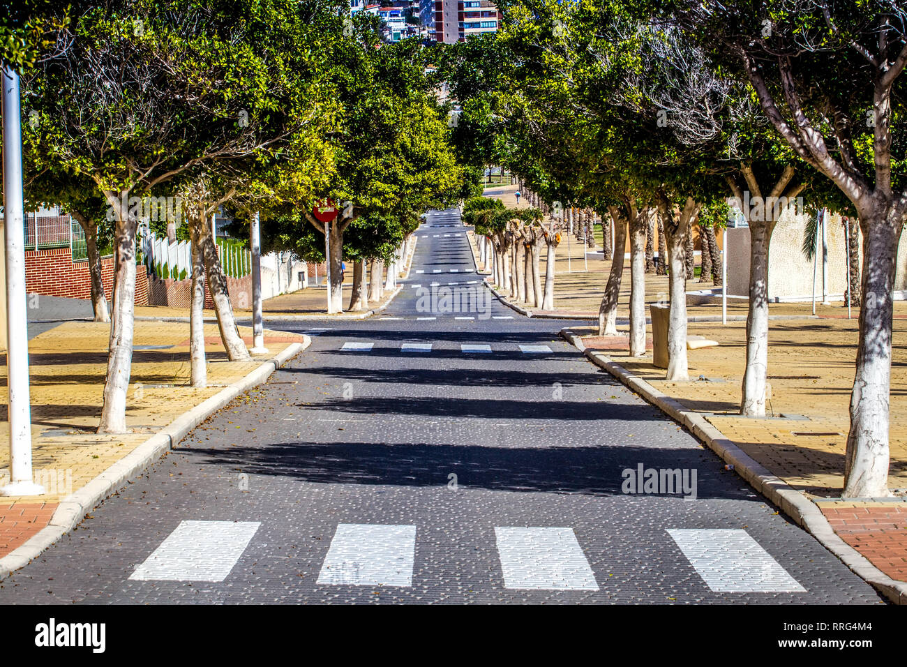 Empty Crosswalk High Resolution Stock Photography and Images - Alamy