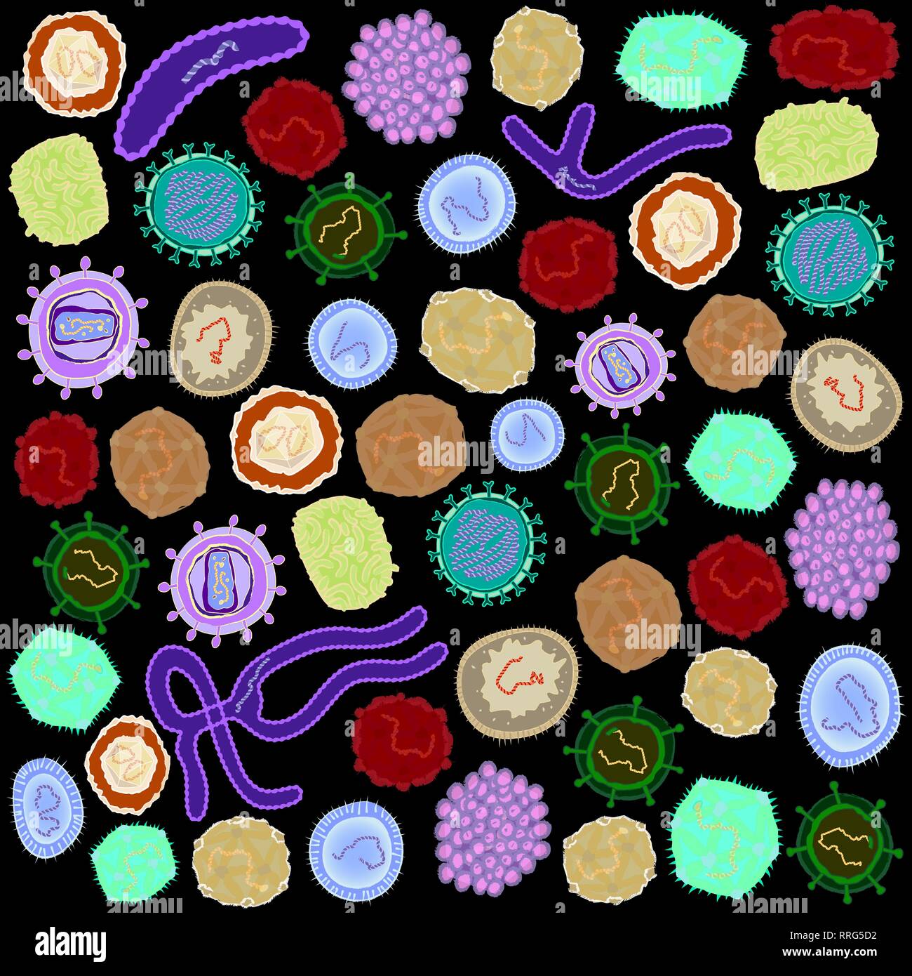 Set of different orders of viruses, vector illustration Stock Vector ...