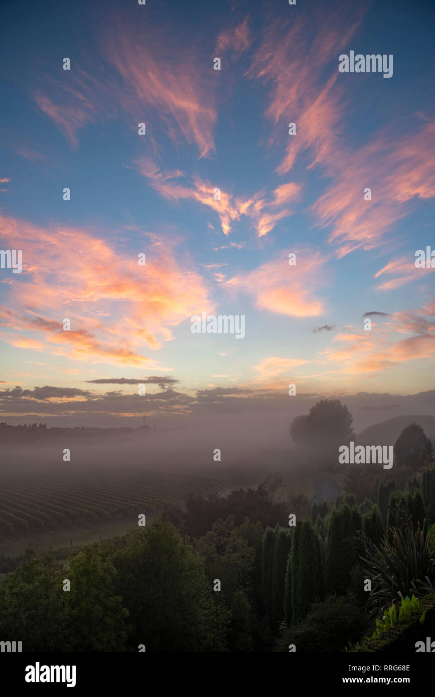 Dawn at Napier, North Island, New Zealand Stock Photo - Alamy